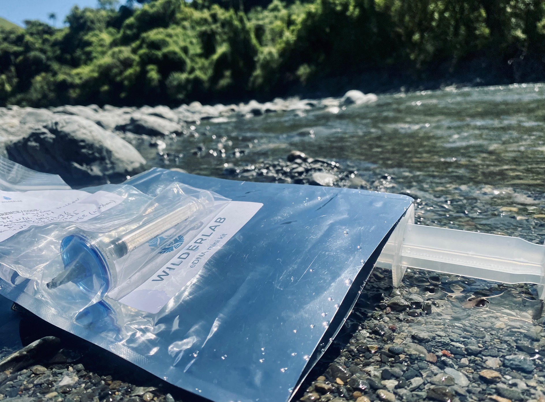 Schools Behind Our River